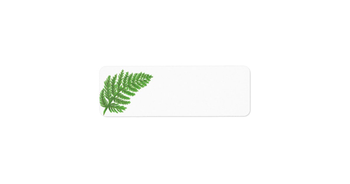 Woodland forest green ferns forest ferns label | Zazzle