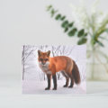 woodland fox postcard | Zazzle
