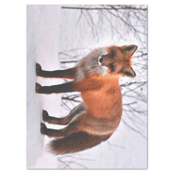 woodland fox tissue paper | Zazzle