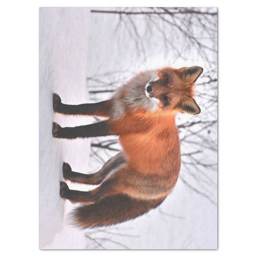 woodland fox tissue paper | Zazzle