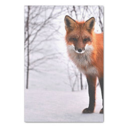 woodland fox tissue paper | Zazzle