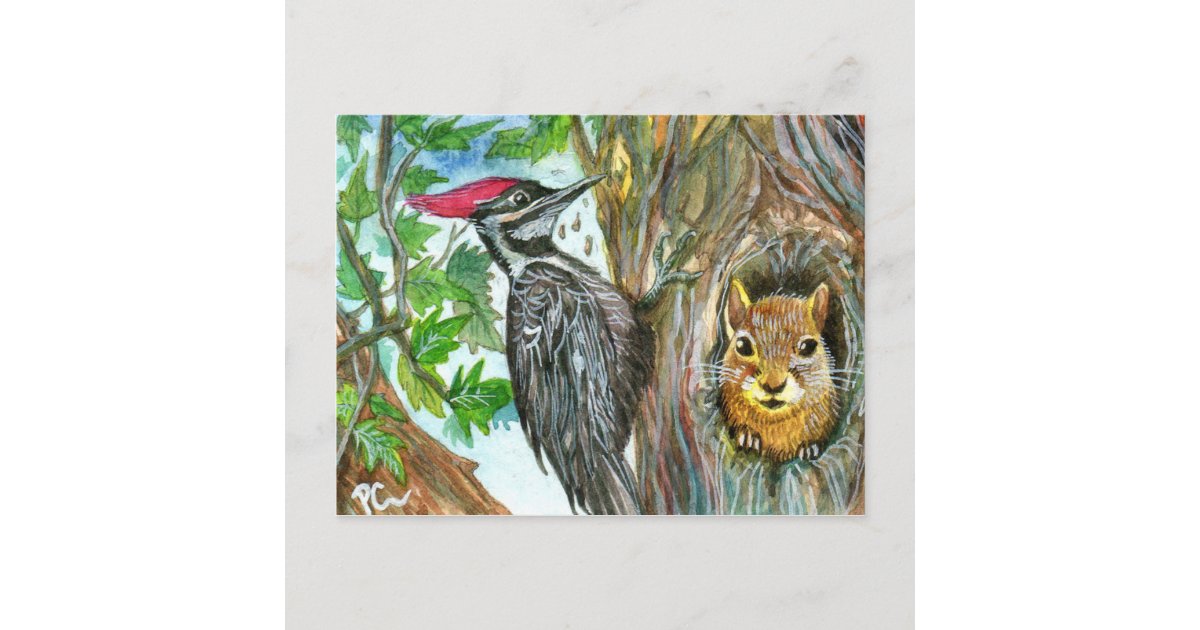 Woodpecker And Squirrel Postcard | Zazzle