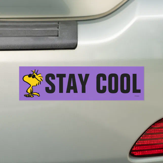 Woodstock Cool Sunglasses Bumper Sticker | Zazzle