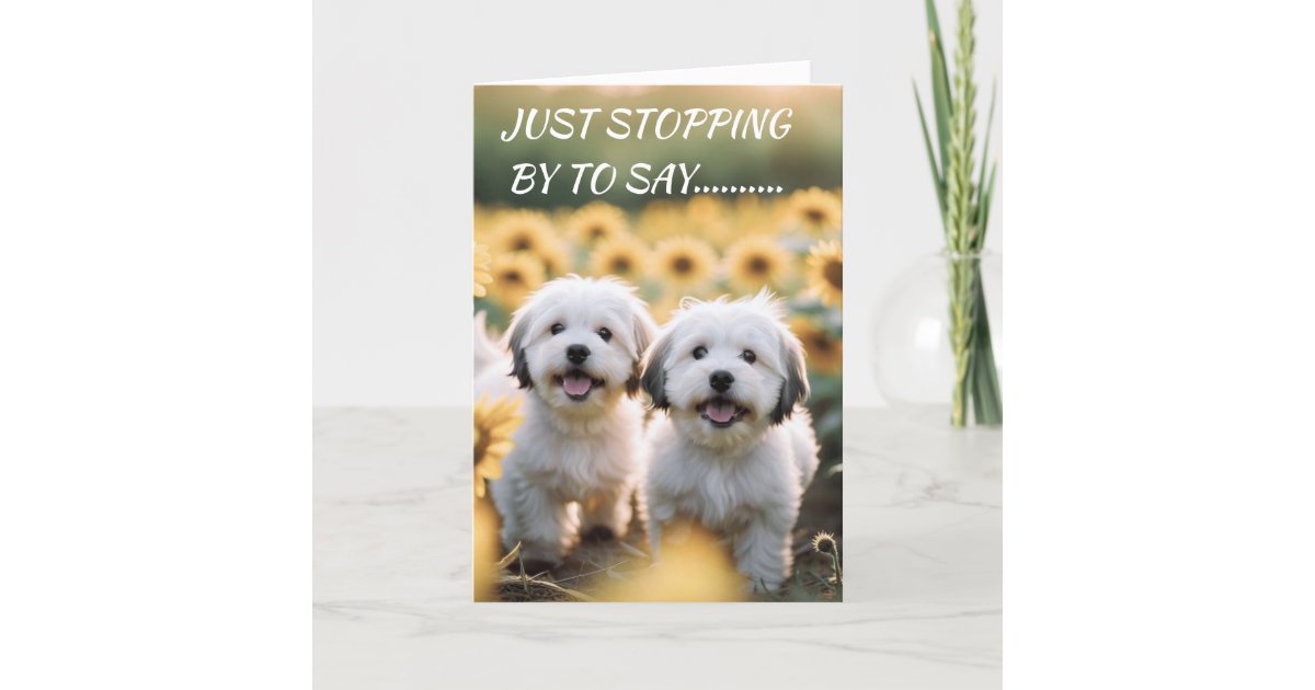 WOOF WOOF MEANS "HAPPY BIRTHDAY" CARD | Zazzle