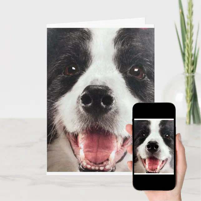 WOOF WOOF OR IN OTHER WORDS **HAPPY BIRTHDAY** CARD | Zazzle