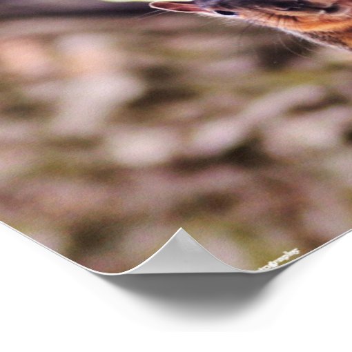 Words to Live by Classroom Poster | Zazzle