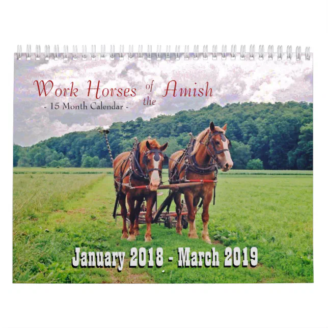 Work Horses of the Amish Calendar | Zazzle