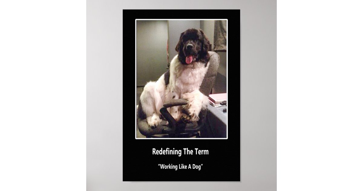 Working Like a Dog Poster | Zazzle