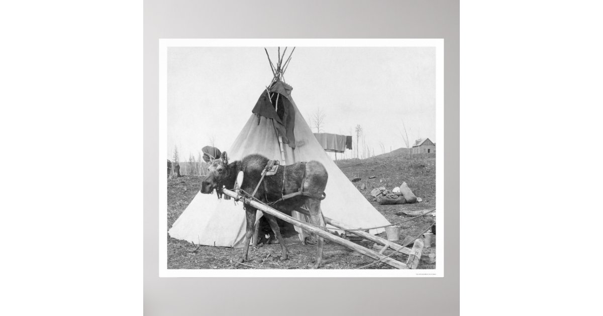 Working Moose Teepee 1916 Poster | Zazzle
