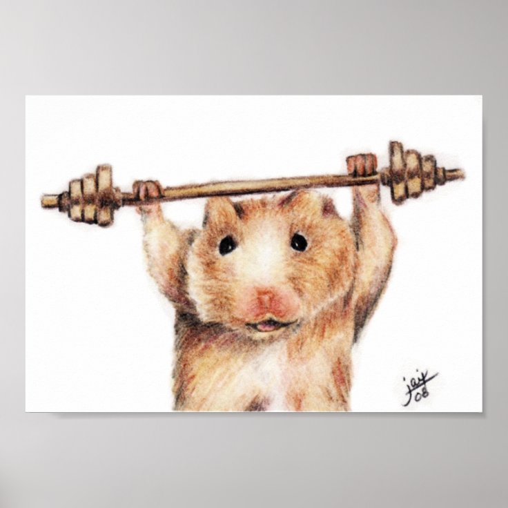 Workout (Hamster) Poster Print | Zazzle