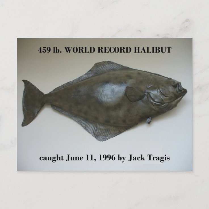 World Record Halibut caught in Dutch Harbor, AK Postcard | Zazzle