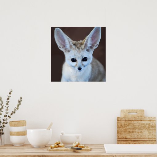 Worlds Cutest Fennec Fox Poster | Zazzle