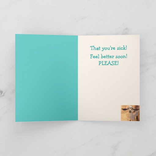 Worried Little Goat Get Well Card | Zazzle