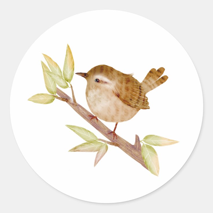 Wren Bird Stickers | Zazzle