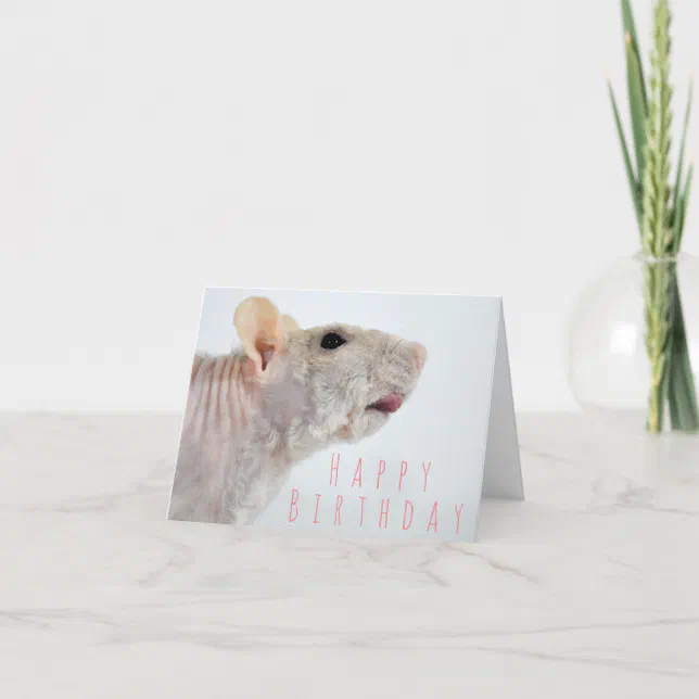 Wrinkled Rat Birthday Card | Zazzle