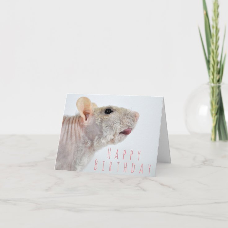 Wrinkled Rat Birthday Card | Zazzle