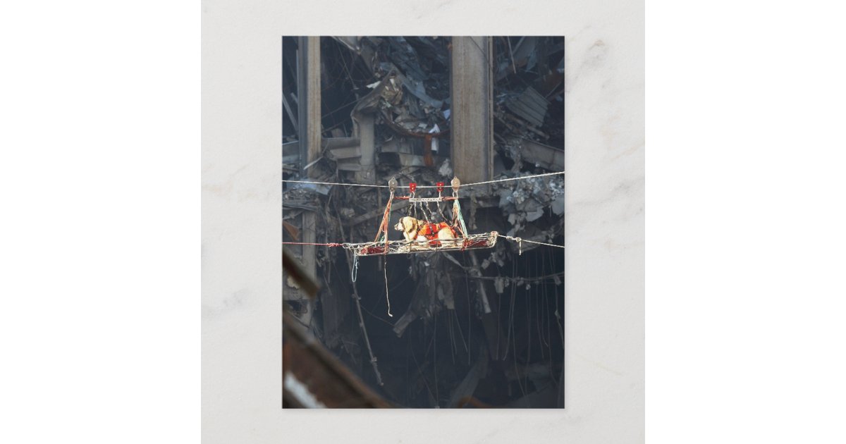WTC6 POSTCARD | Zazzle