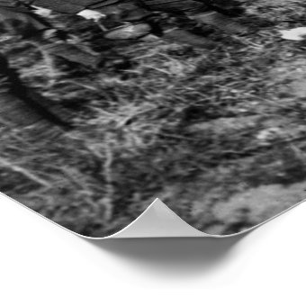 WW1 German Fighter Plane, 1910s Poster | Zazzle