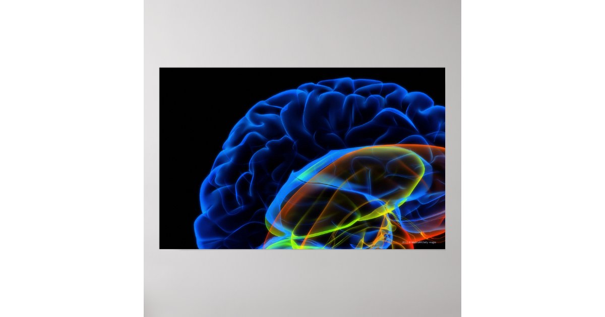 X-ray image of the brain poster | Zazzle