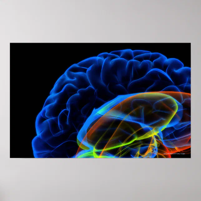 X-ray image of the brain poster | Zazzle
