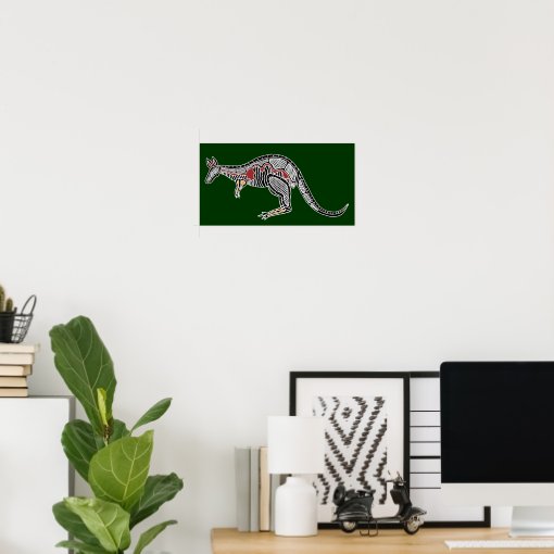 X-Ray Kangaroo Poster | Zazzle