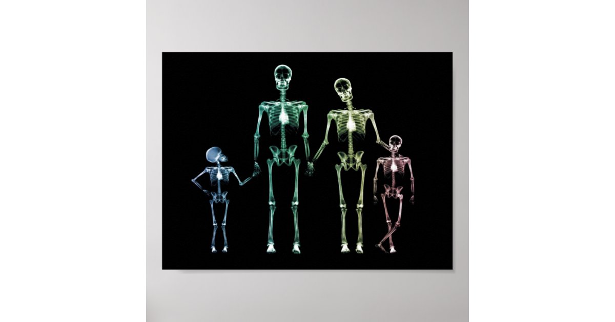 X-Ray My Family Poster | Zazzle