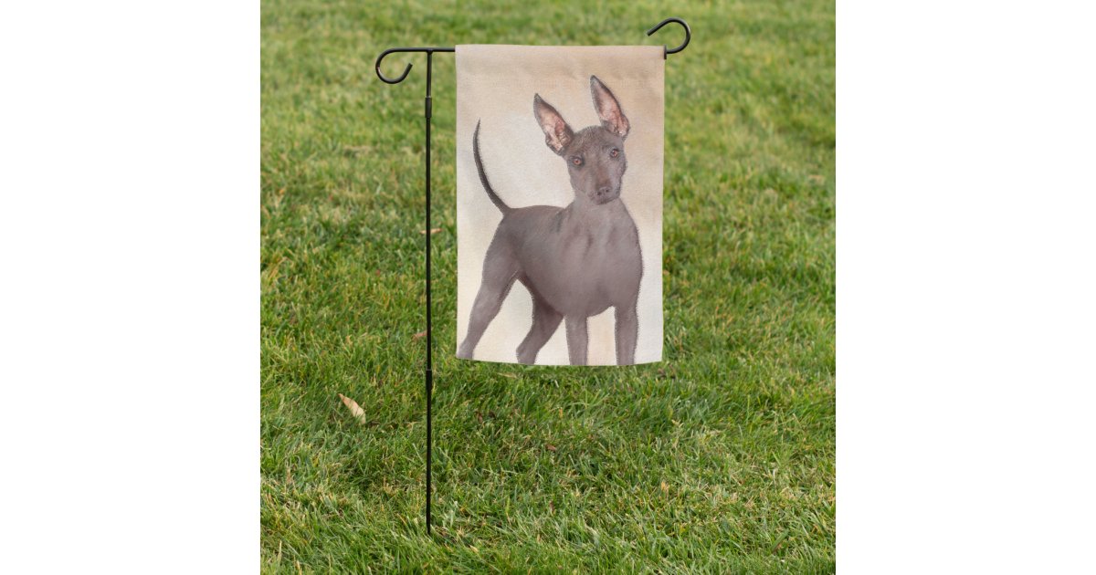 Xoloitzcuintli Painting - Cute Original Dog Art Garden Flag | Zazzle