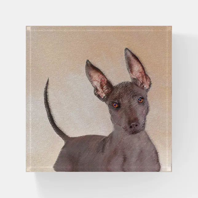 Xoloitzcuintli Painting - Cute Original Dog Art Paperweight | Zazzle