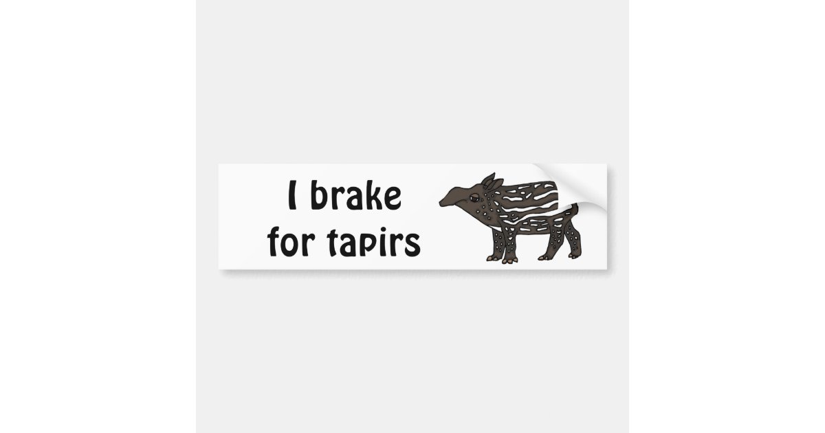 XX- Funny Tapir Cartoon Bumper Sticker | Zazzle