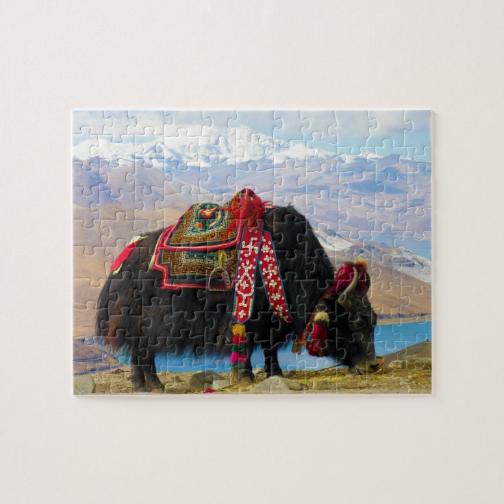 Yak Bos grunniens Bos mutus at Yamdrok Lake Jigsaw Puzzle | Zazzle