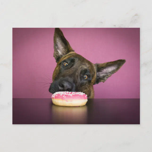 Yamm Yamm Postcard | Zazzle