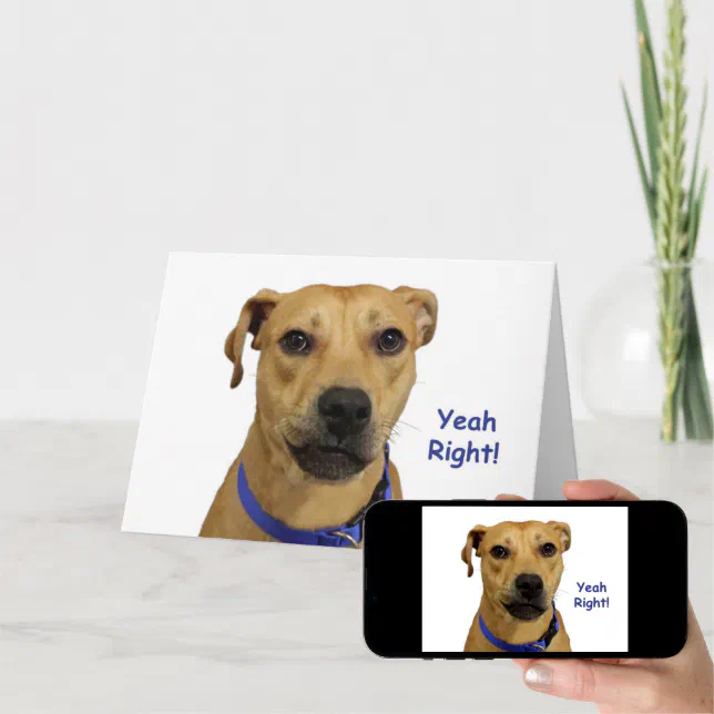 Yeah Right Dog Birthday Card | Zazzle