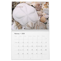 Year Long Seashell Photography Calendar | Zazzle