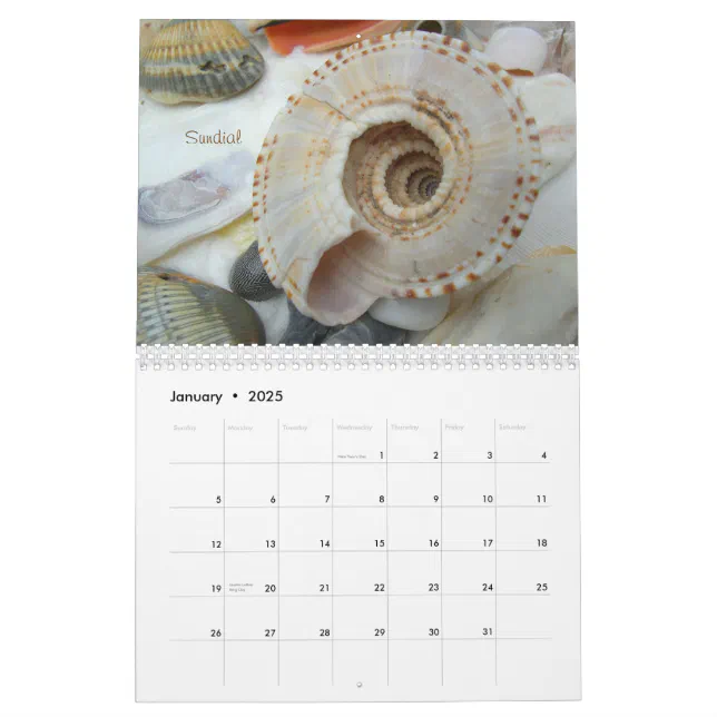 Year Long Seashell Photography Calendar | Zazzle