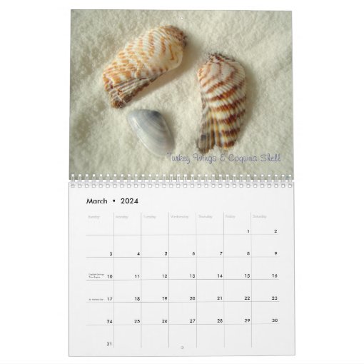 Year Long Seashell Photography Calendar | Zazzle