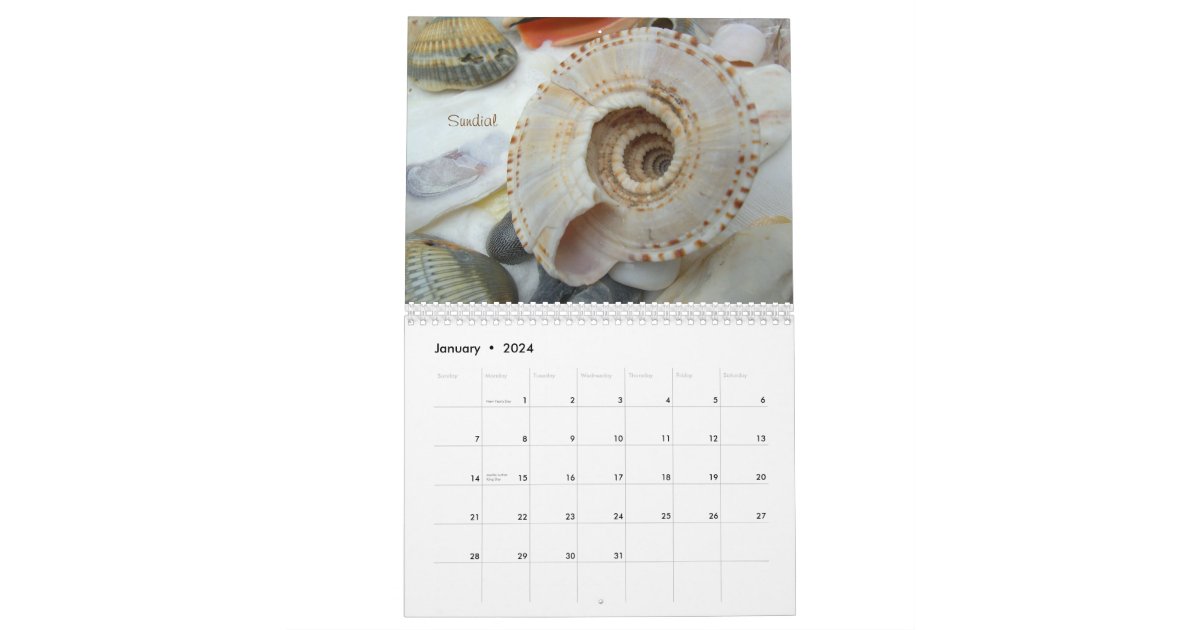 Year Long Seashell Photography Calendar | Zazzle