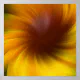 Yellow And Brown Whirlpool Abstract Art Poster | Zazzle