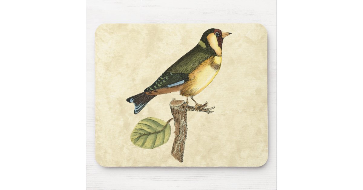 Yellow and Green Bird Perched on a Little Branch Mouse Pad | Zazzle