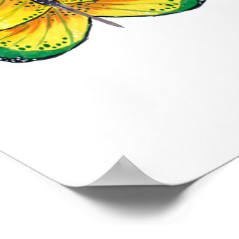 Yellow and Green Butterfly Poster | Zazzle