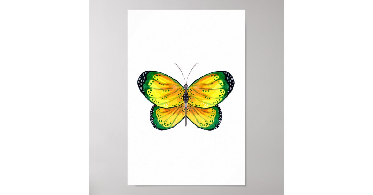 Yellow and Green Butterfly Poster | Zazzle