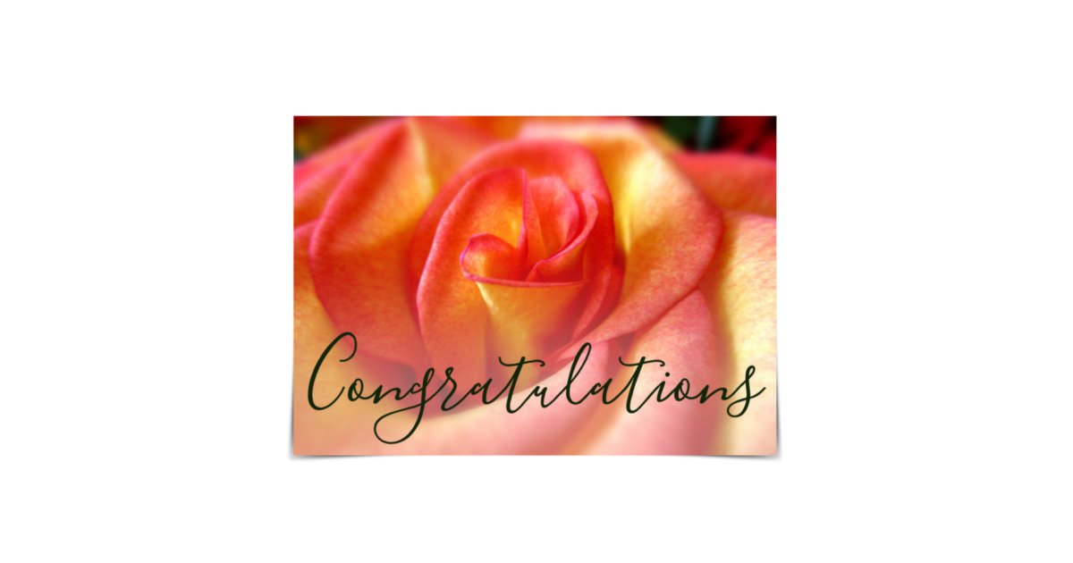 Yellow and Red Rose Congratulations card | Zazzle