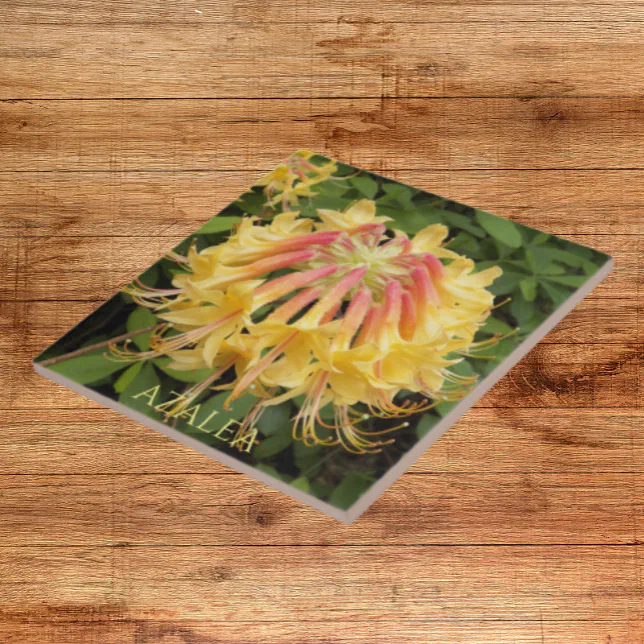 Yellow Azalea Blooms Floral Ceramic Tile | Zazzle