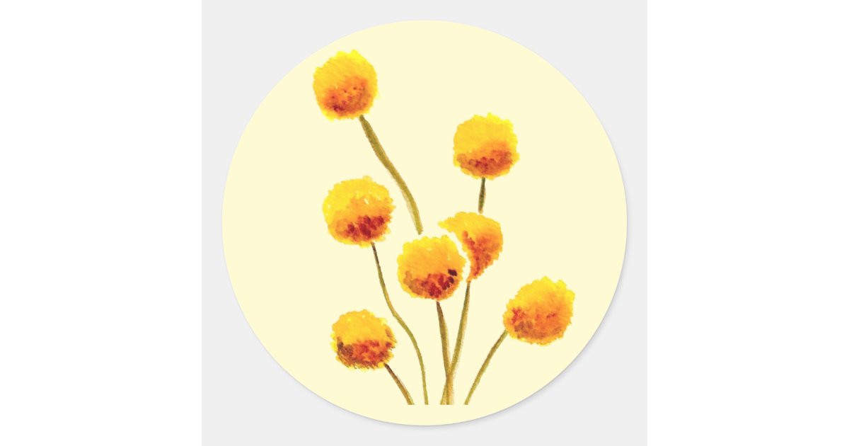 Yellow Billy Button native Australian flower Classic Round Sticker | Zazzle