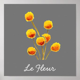 Yellow Billy Button native Australian flower Poster | Zazzle