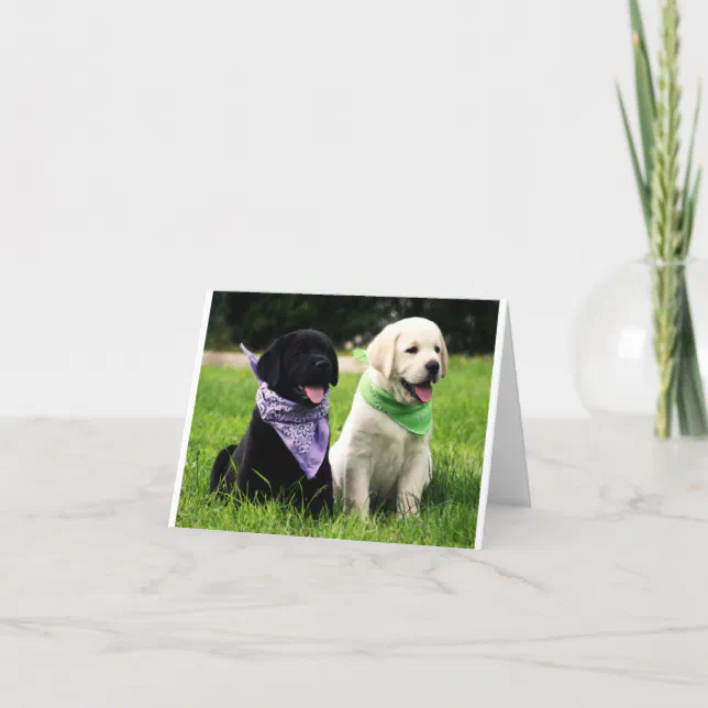 Yellow & Black Labrador Retriever Puppy Note Card | Zazzle