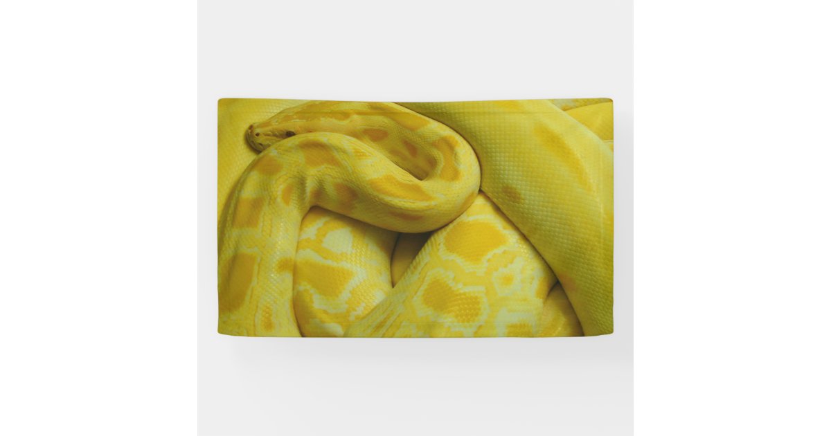 Yellow Burmese Python Banner | Zazzle