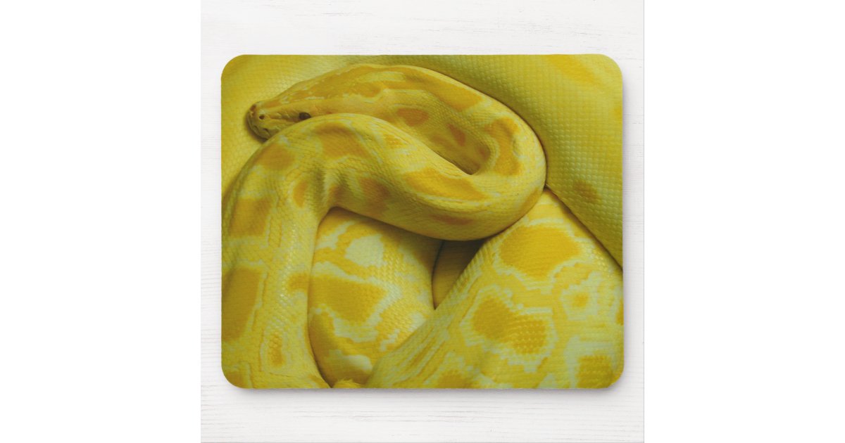 Yellow Burmese Python Mouse Pad | Zazzle