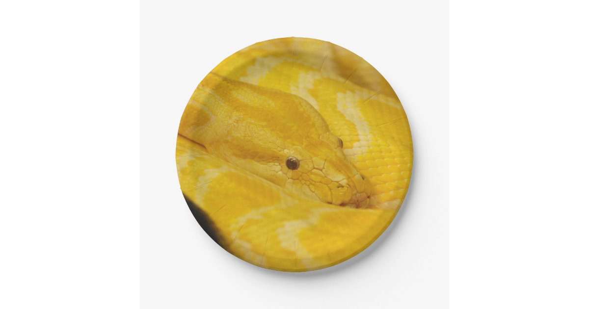 Yellow Burmese Python Paper Plates | Zazzle