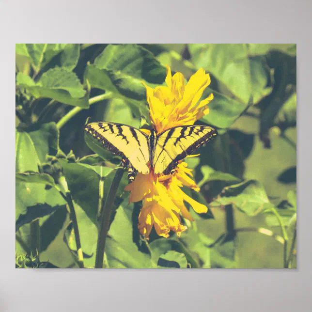 Yellow Butterfly & Flowers Poster | Zazzle