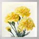 Yellow Carnations Flower Art Print Poster | Zazzle
